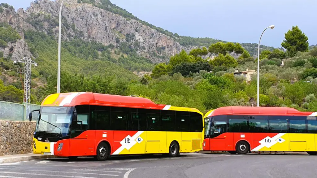 Enjoy free Mallorca bus travel for a day
