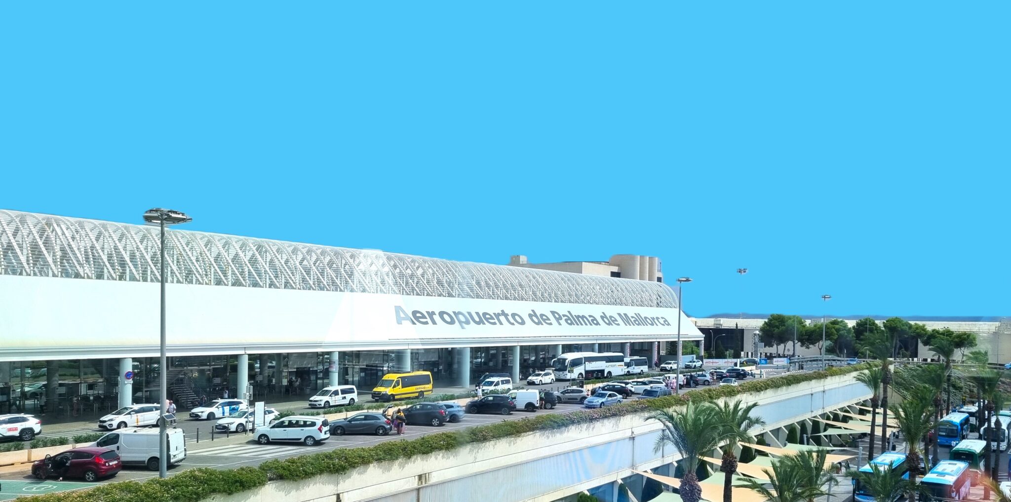 Faszinierend Airport Palma Anknfte Bild