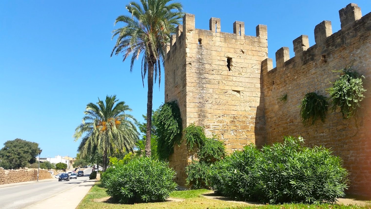 Transfers & Taxis from Mallorca Airport to Alcudia